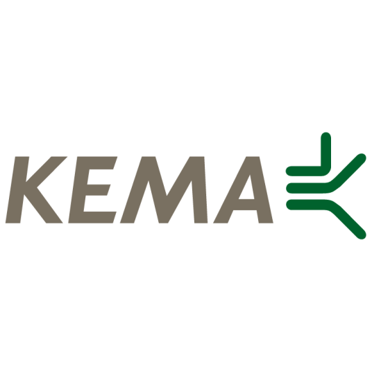 KEMA_百度百科