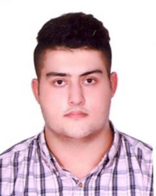 阿里·达沃迪_百度百科