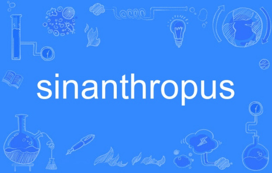 sinanthropus_百度百科