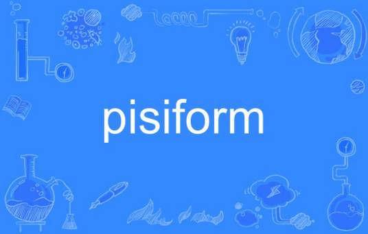 pisiform_百度百科
