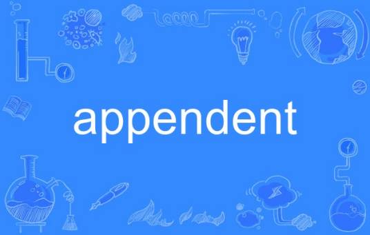 appendent_百度百科