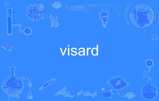 visard_百度百科