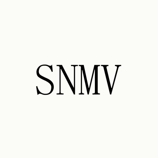 SNMV_百度百科