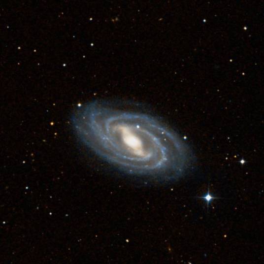 NGC 3992_百度百科