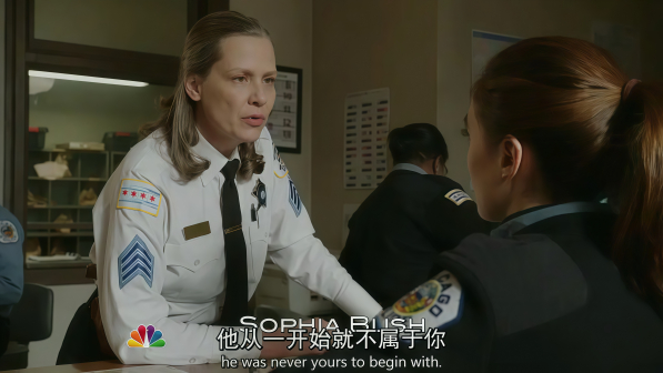 芝加哥警署第一季_百度百科