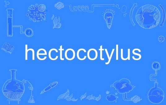 hectocotylus_百度百科
