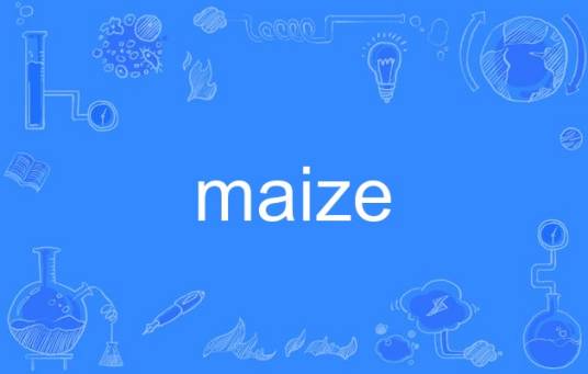 maize_百度百科