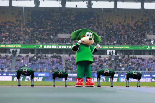 Go Goal_百度百科