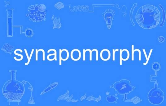 synapomorphy_百度百科