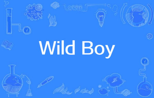 Wild Boy_百度百科