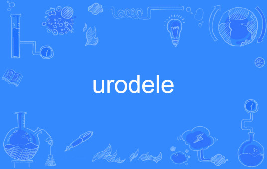 urodele_百度百科