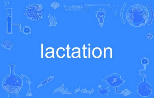 lactation_百度百科