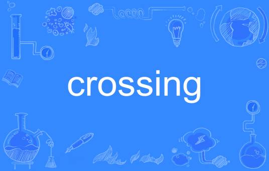 Crossing（英语名词）_百度百科