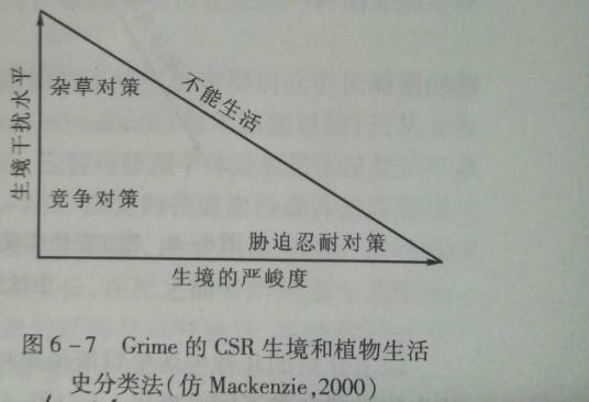 杂草对策_百度百科