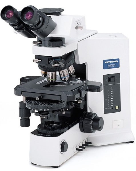 OLYMPUS BX51_百度百科