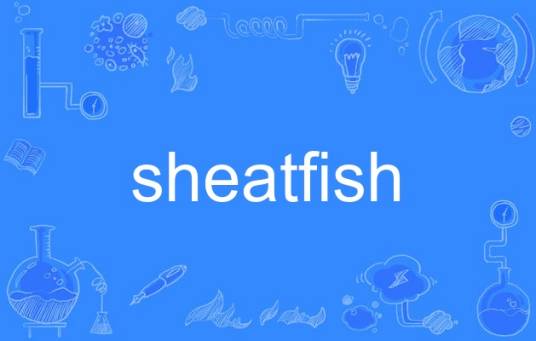 sheatfish_百度百科