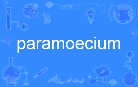 paramyosin_百度百科