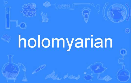 holomyarian_百度百科