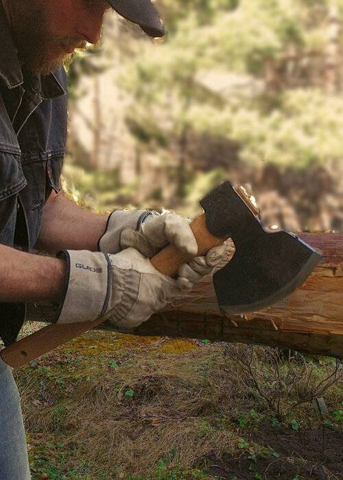 Vinko Nino Jaeger_百度百科