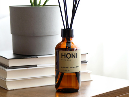 HONI EXPERIENCE_百度百科