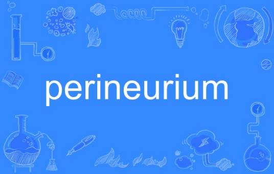 perineurium_百度百科