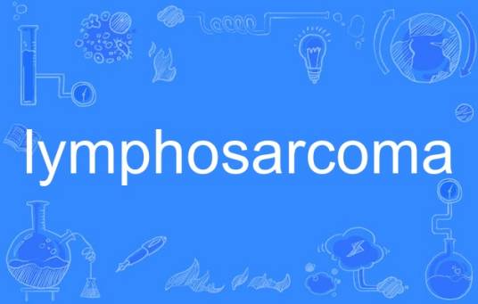 lymphosarcoma（英语单词）_百度百科