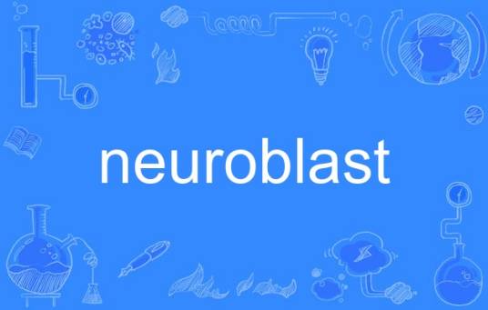 neuroblast_百度百科
