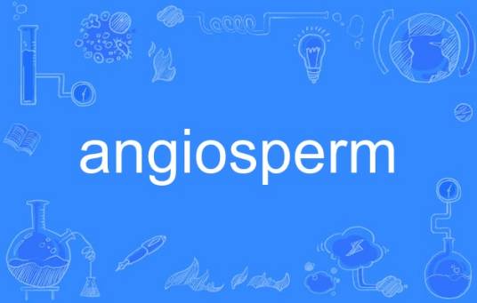 angiosperm_百度百科