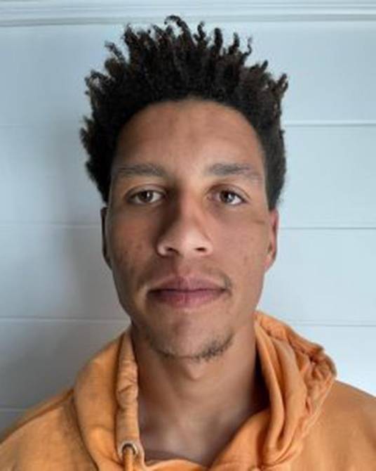 FLEURS Luke_百度百科