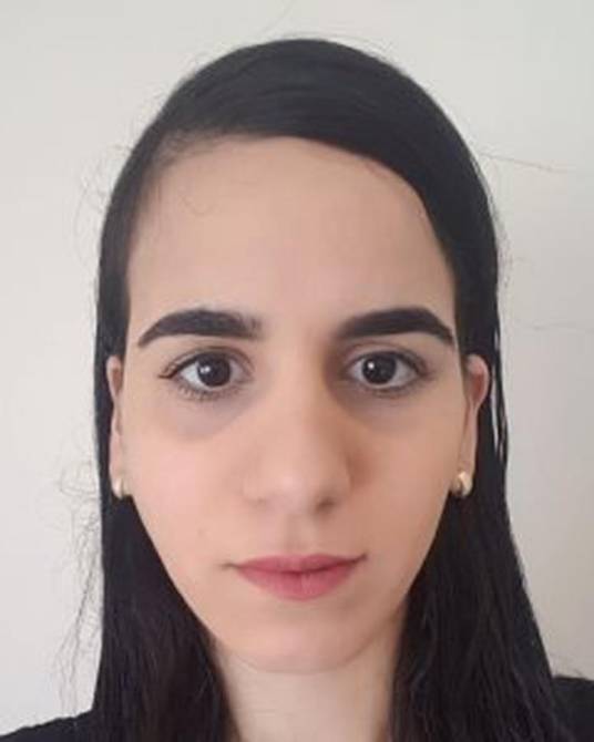 MAHAMID RUZIN Elham_百度百科