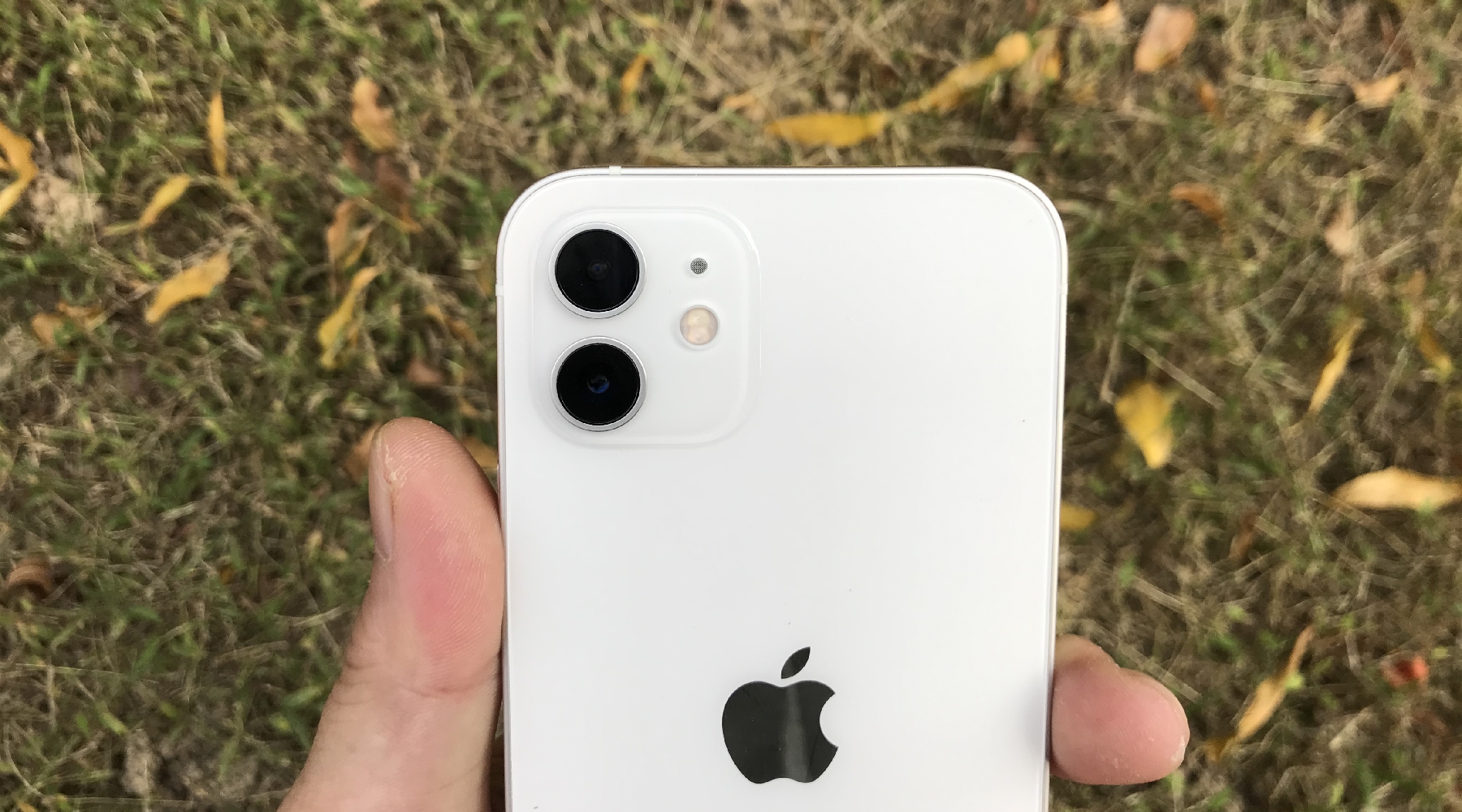 iPhone12：没买早的，恭喜了！_百科TA说