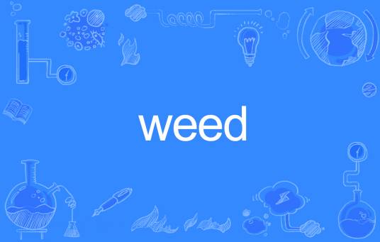 weed（英语单词）_百度百科