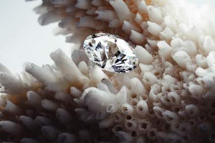 Diamond Foundry_百度百科