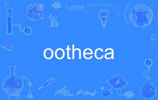 ootheca_百度百科