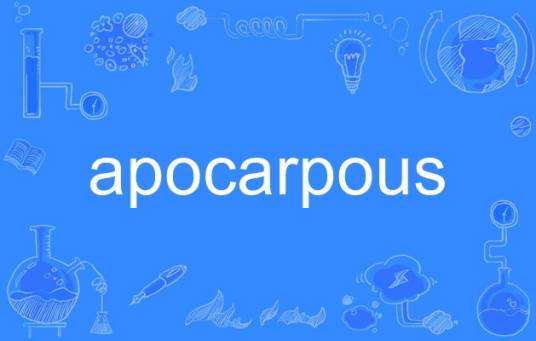 apocarpous_百度百科