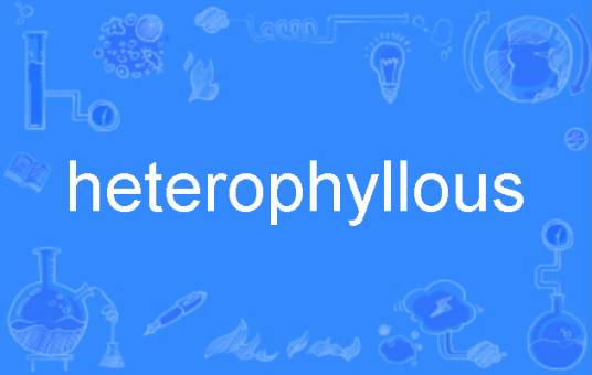 heterophyllous_百度百科