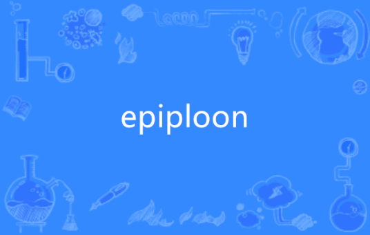 epiploon_百度百科