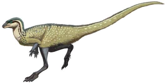 古奔龙_百度百科