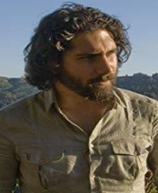 Daniel da Silva_百度百科