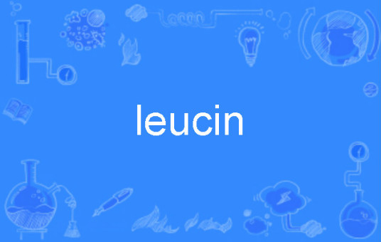 leucin_百度百科