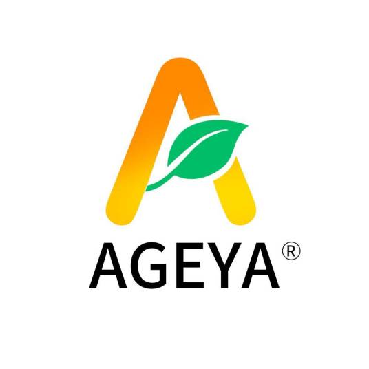 AGEYA_百度百科