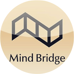 MIND BRIDGE_百度百科