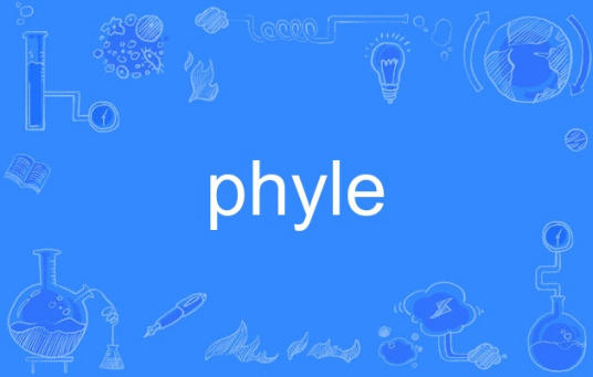 phyle_百度百科