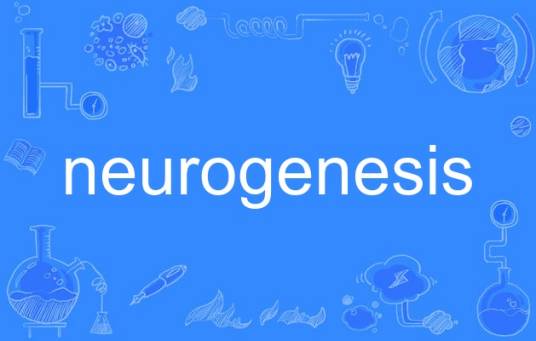 neurogenesis_百度百科