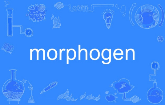 morphogen_百度百科