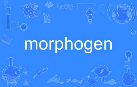 morphogen_百度百科