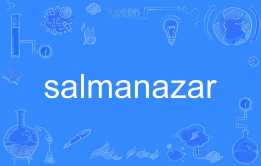 salmanazar_百度百科