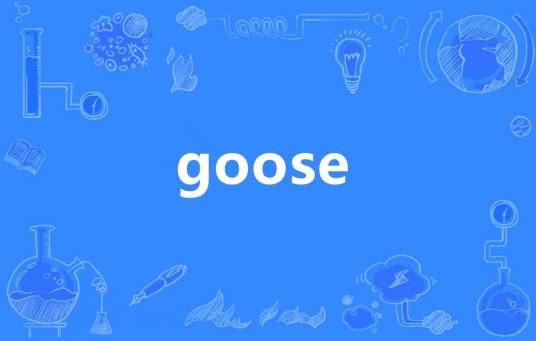 goose（英语单词）_百度百科
