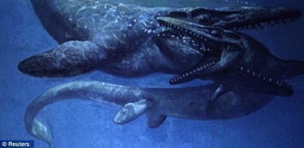 Pannoniasaurus inexpectatus_百度百科