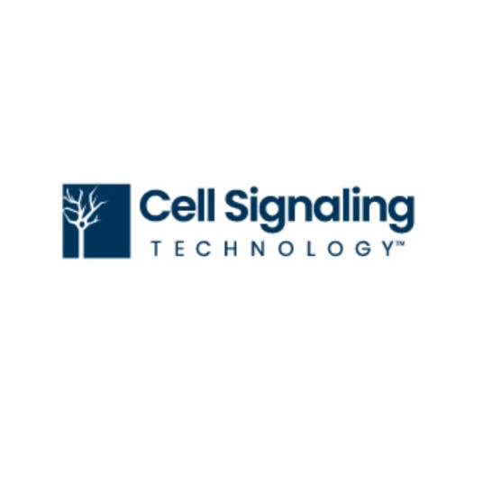 CST（Cell Signaling Technology（简称CST））_百度百科